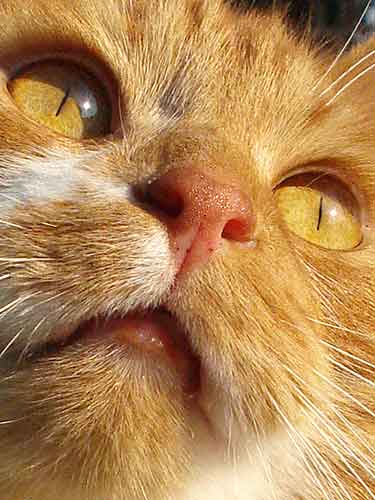 Hare Photography | Portfolio